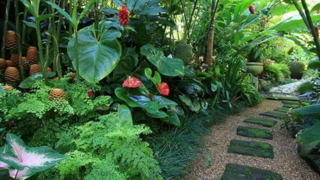 Best Landscape Designer in PCMC,Pune | As innterior studio